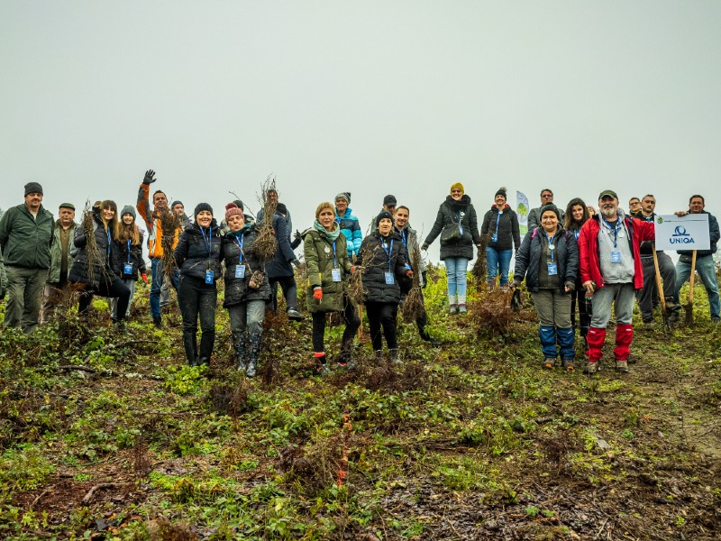 Zaposleni UNIQA osiguranja posadili više od 1700 stabala - UNIQA osiguranje